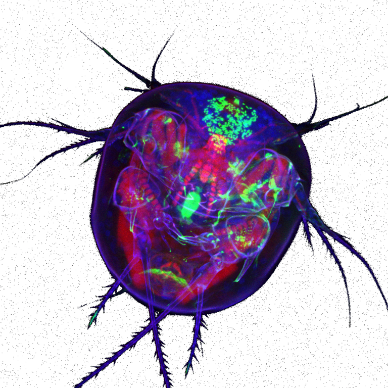 France-BioImaging – A National Research Infrastructure for Biological ...