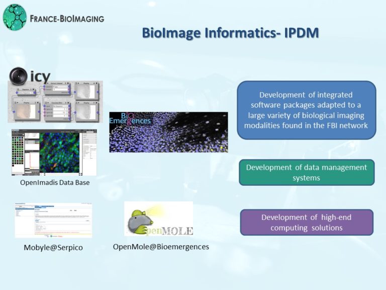 BioImage Informatics – France-BioImaging