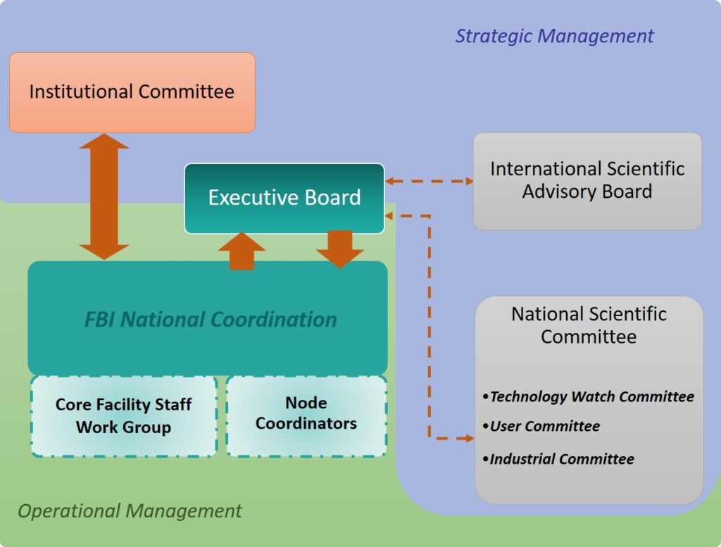 FBI Governance - France-BioImaging