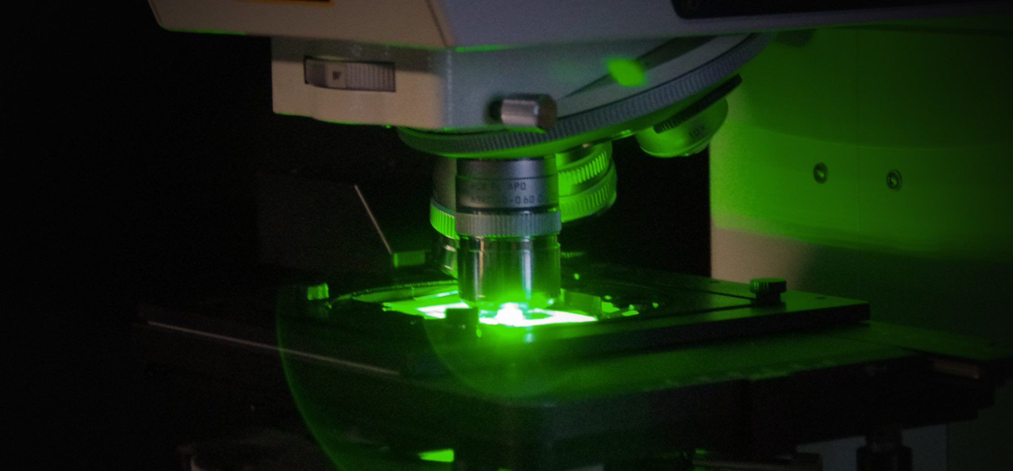 Open Microscopy Symposium – France-BioImaging