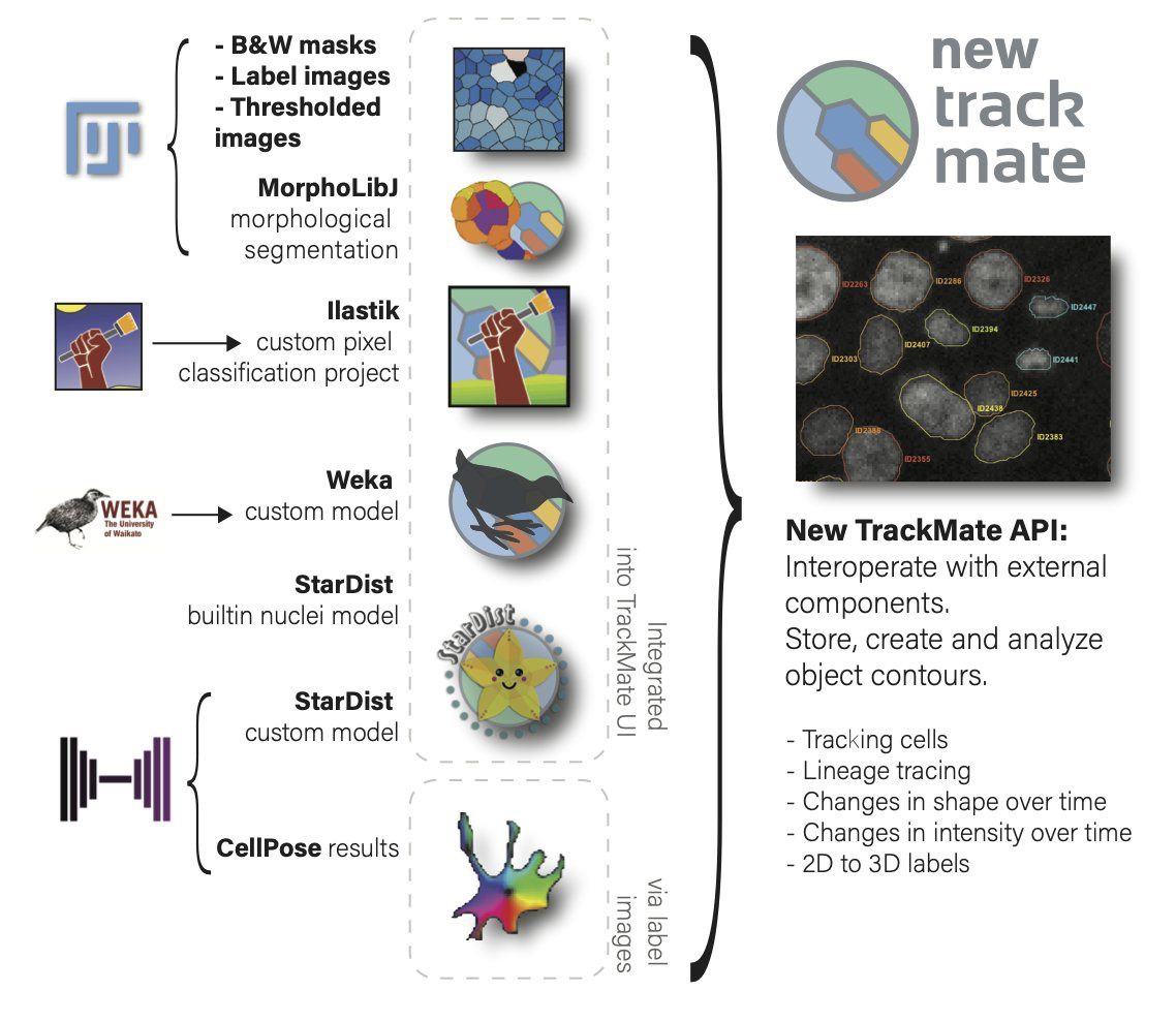 A new version of TrackMate: a tracking tool that integrates machine ...