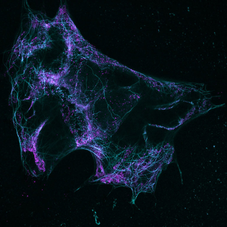 France-BioImaging – A National Research Infrastructure for Biological ...