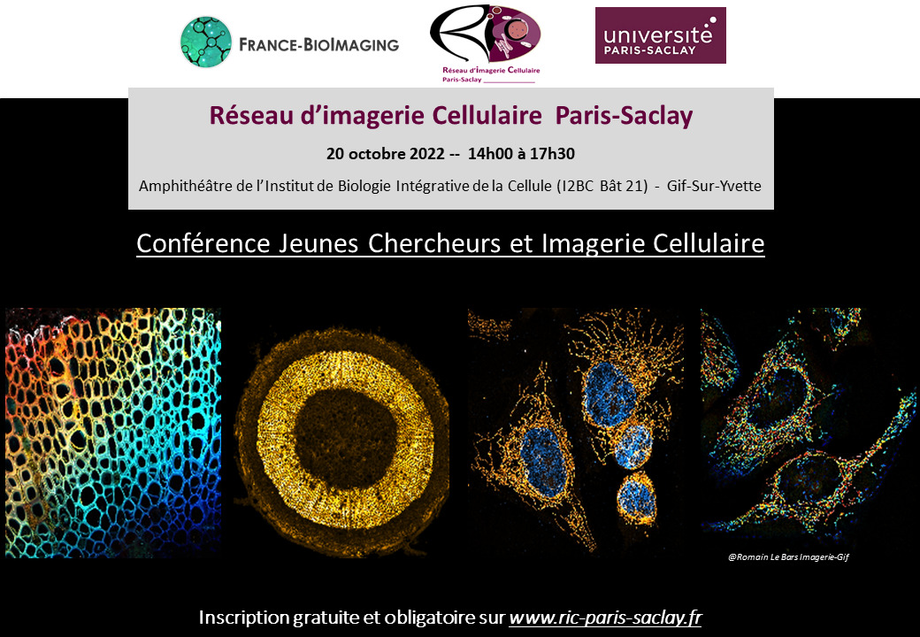 Junior Scientist Conference on Biological Optical Microscopy – RIC ...