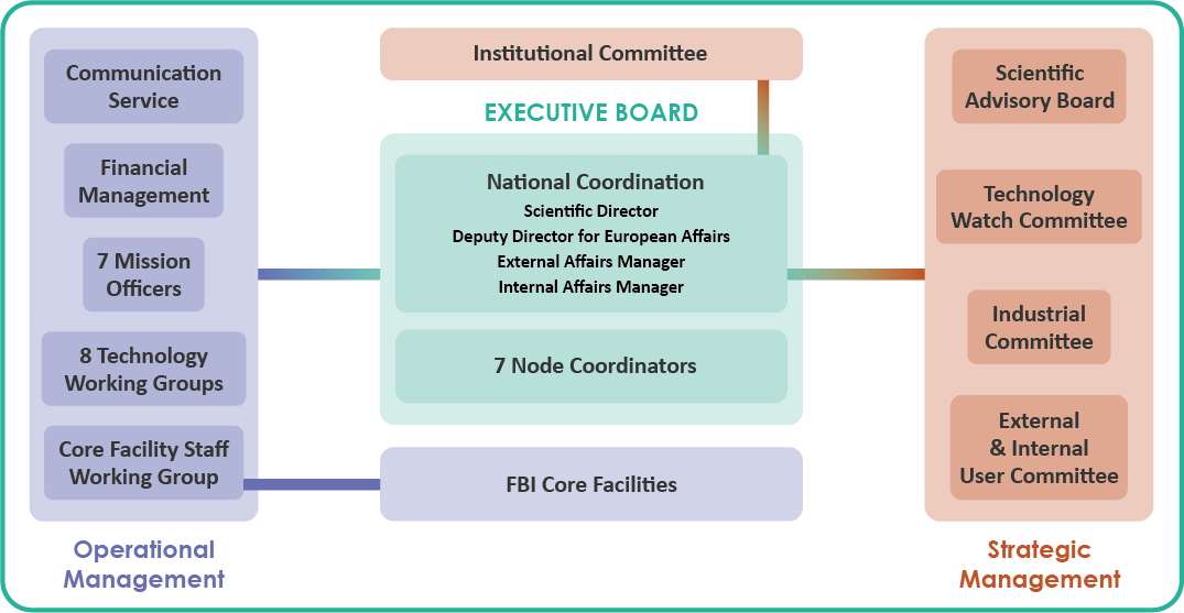 FBI Governance - France-BioImaging