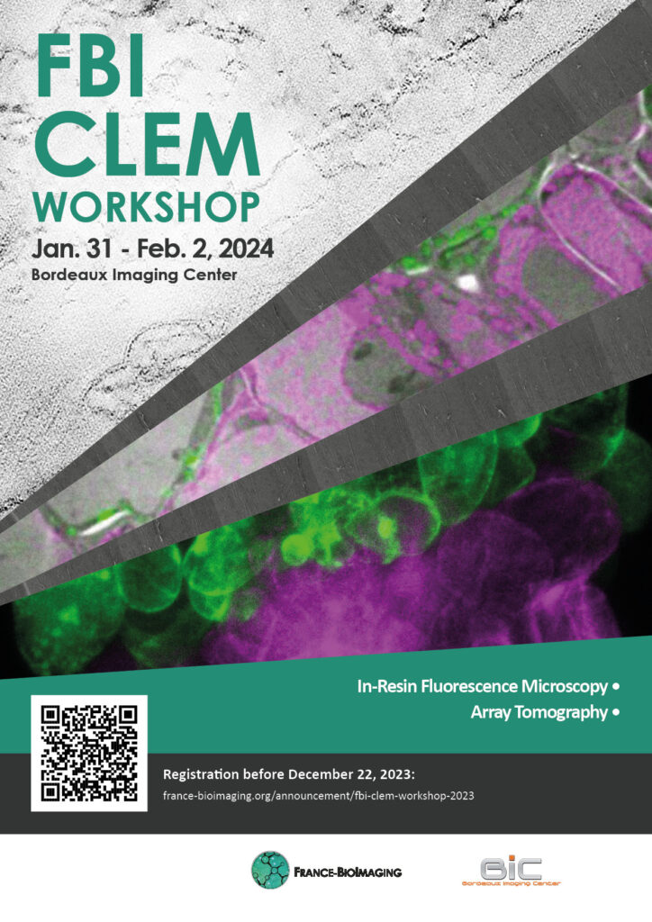 FBI CLEM workshop 2024 – France-BioImaging