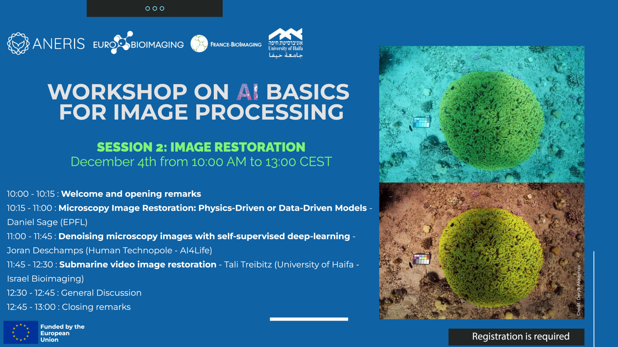 Workshop on AI basics for image processing – France-BioImaging