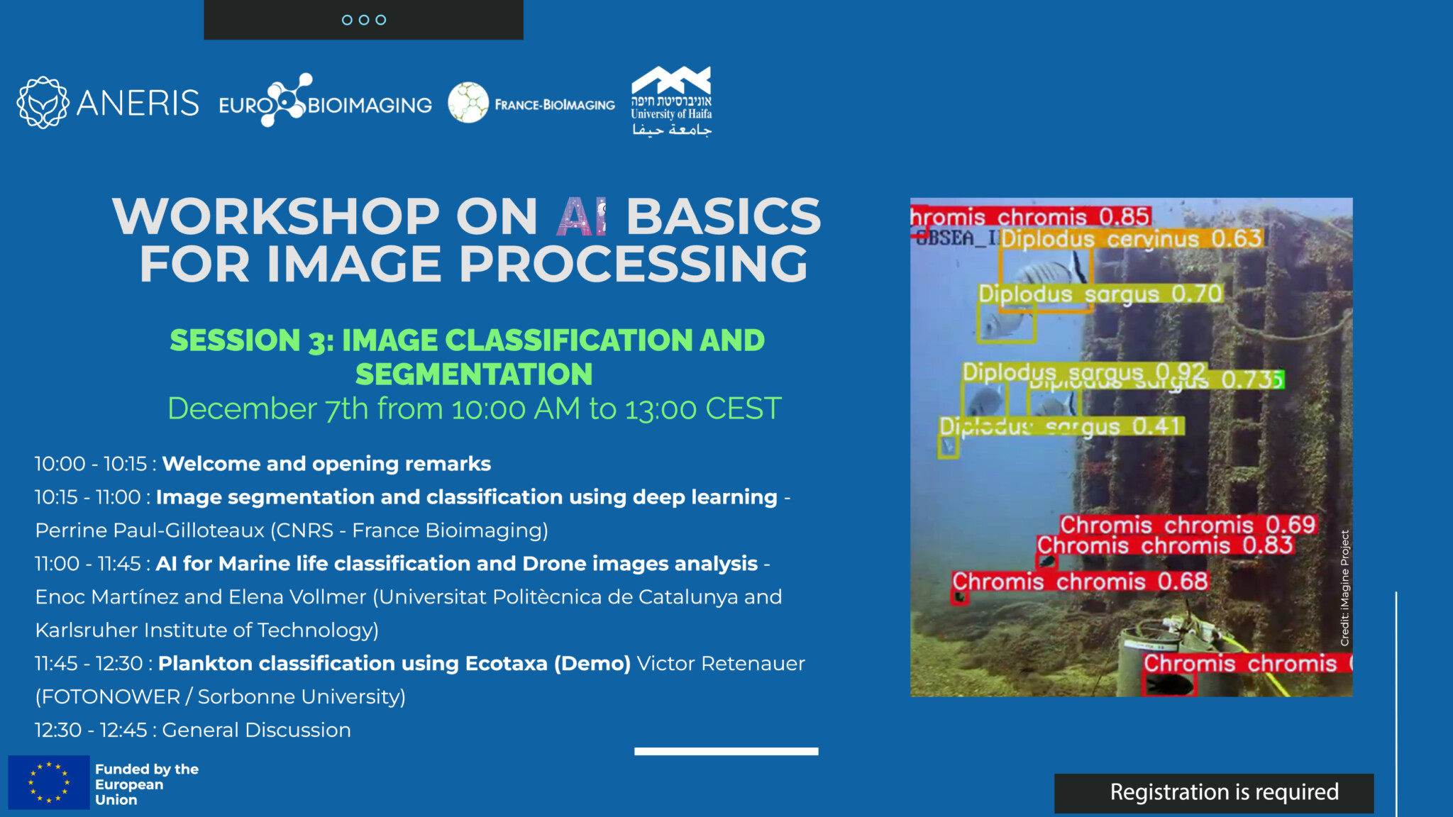 Workshop on AI basics for image processing – France-BioImaging