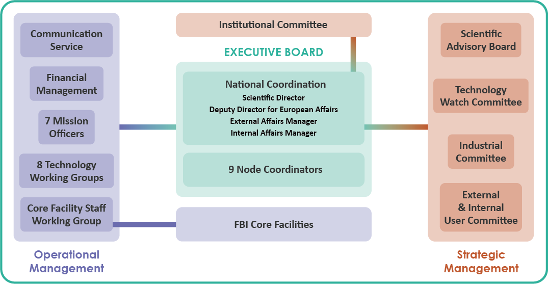 FBI Governance - France-BioImaging