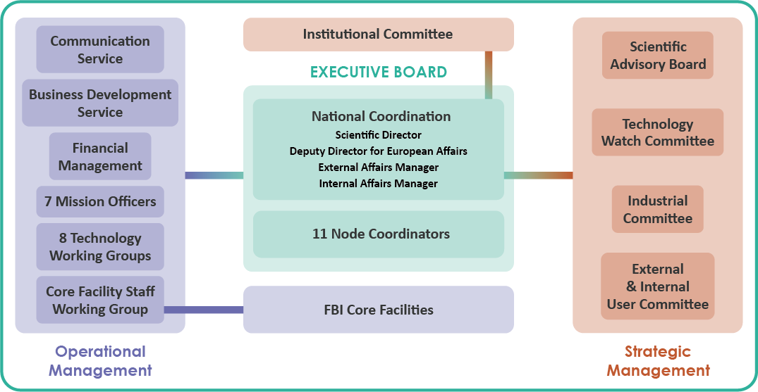 FBI Governance – France-BioImaging