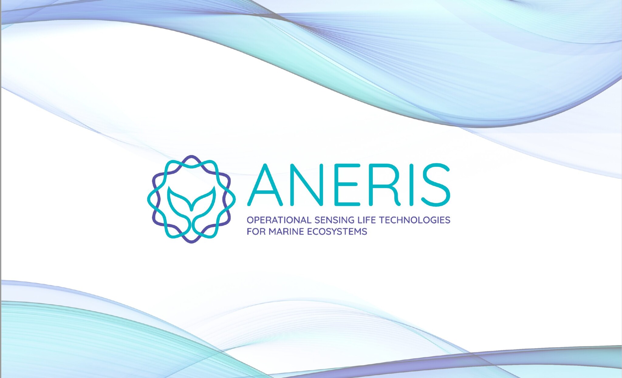 FBI participation to ANERIS Project first annual meeting – France ...