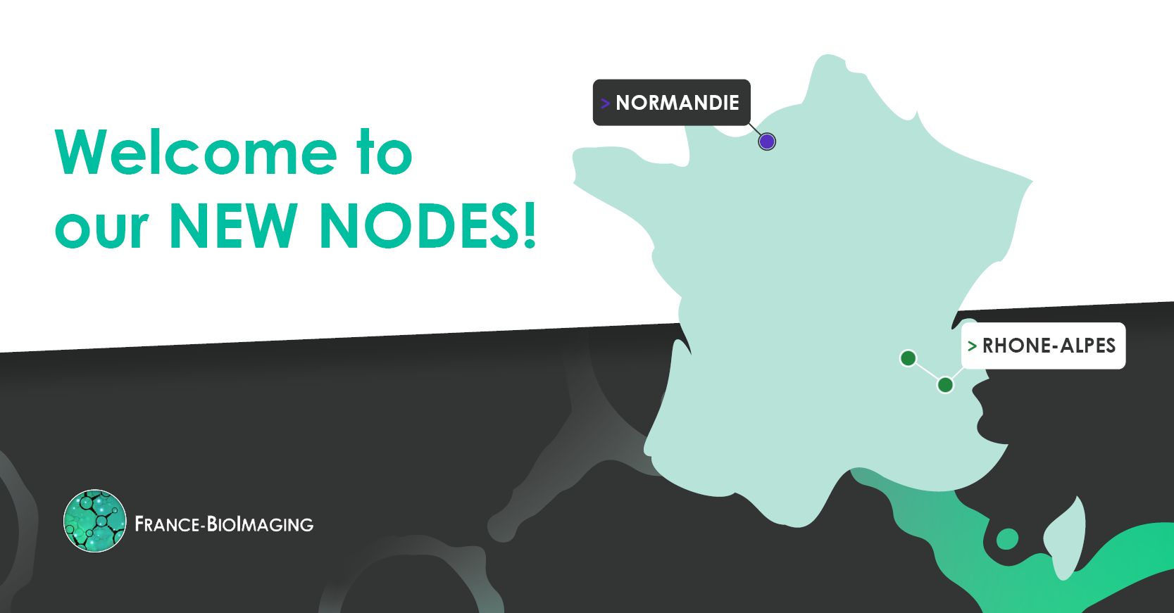 Welcome to our new nodes! Normandie & Rhône-Alpes – France-BioImaging