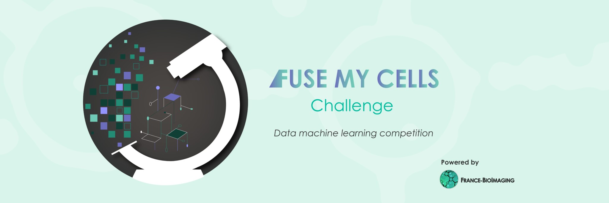 France-BioImaging Challenge is back! Fuse My Cells – France-BioImaging