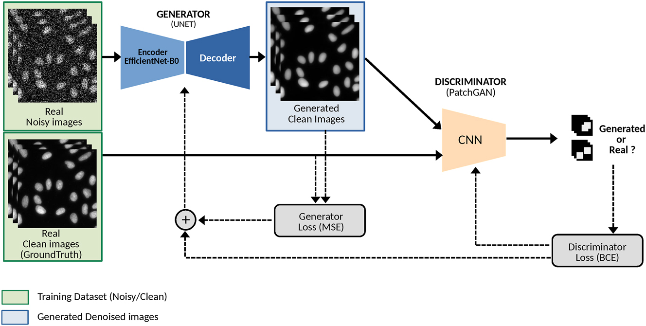 μPIX: A generative AI approach to sustainable and personalized microscopy – France-BioImaging