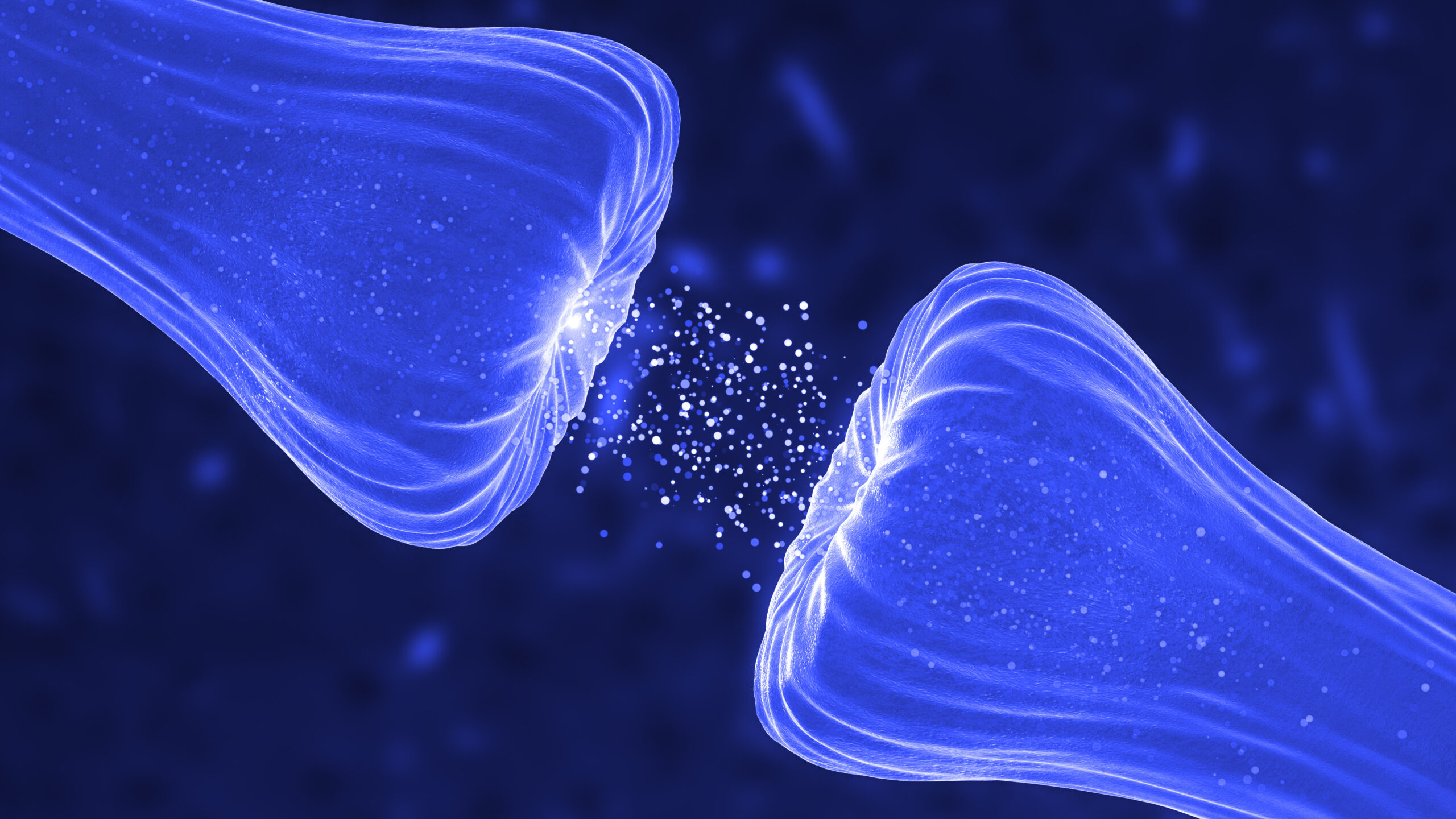 France-BioImaging – France-BioImaging